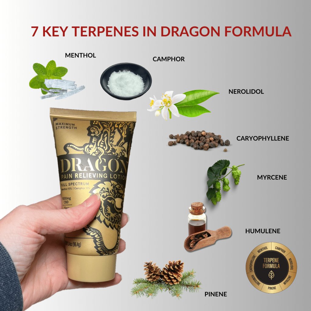 Dragon Pain Relief Lotion Maximum Strength for Fast Relief