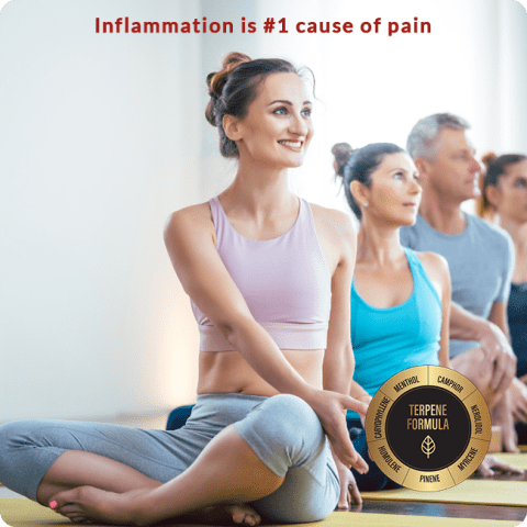 AUTUMN SALE - UP TO 50% OFF on Dragon Pain Relief