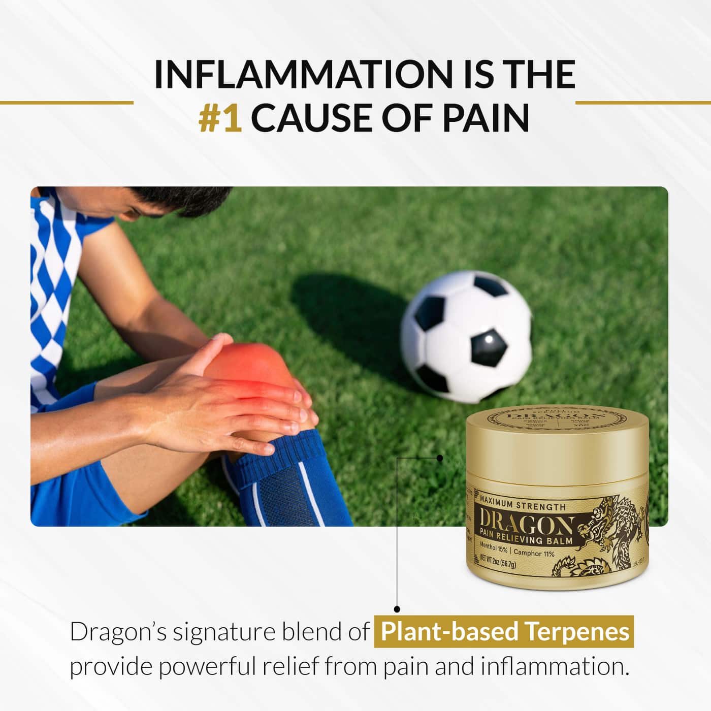Dragon Pain Relief Balm Maximum Strength for Fast Muscle Relief