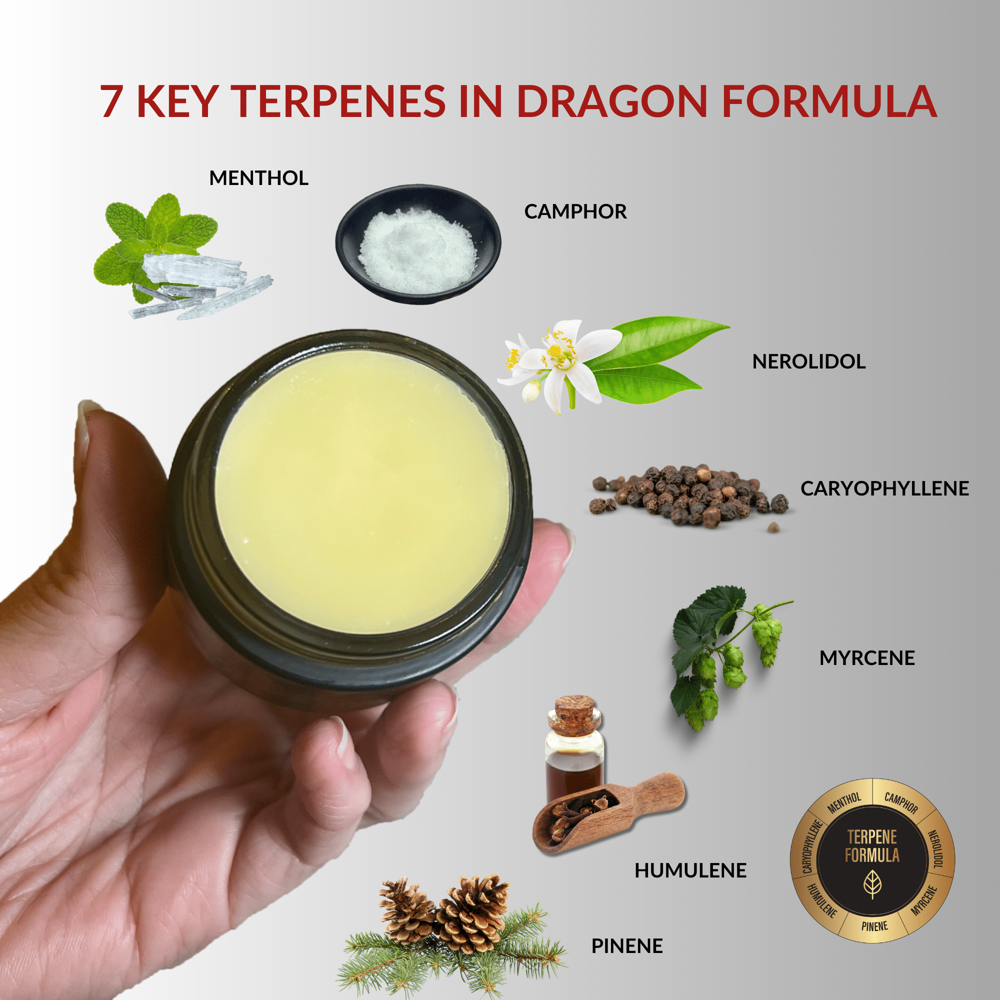 Black Dragon Box Set – Broad Spectrum - Dragon Pain Relief
